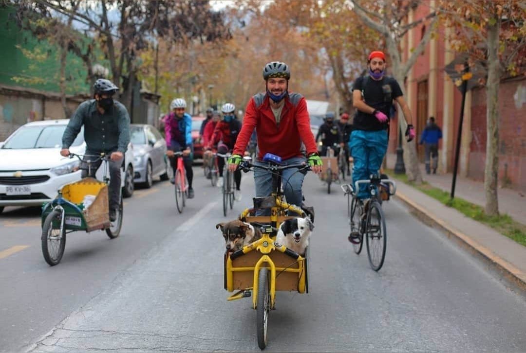 La Beecicleta: Los Beneficios De Las Abejas Que Viajan En Bicicleta ...