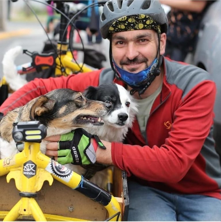 La Beecicleta: Los Beneficios De Las Abejas Que Viajan En Bicicleta ...